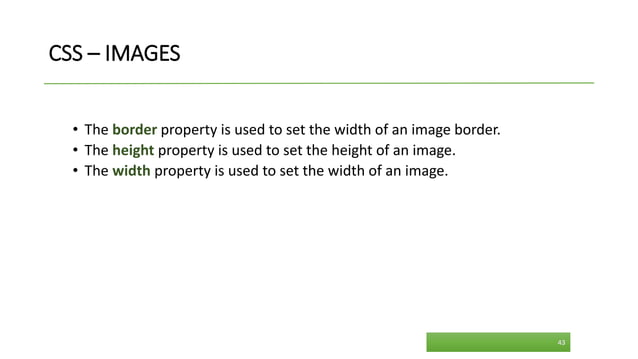 Complete Lecture on Css presentation | PPTX | Web Design and HTML | Internet