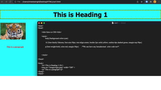 CSS Presentation Notes.pptx
