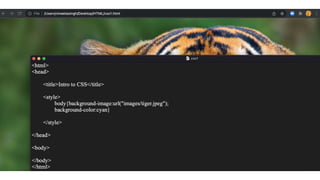 CSS Presentation Notes.pptx