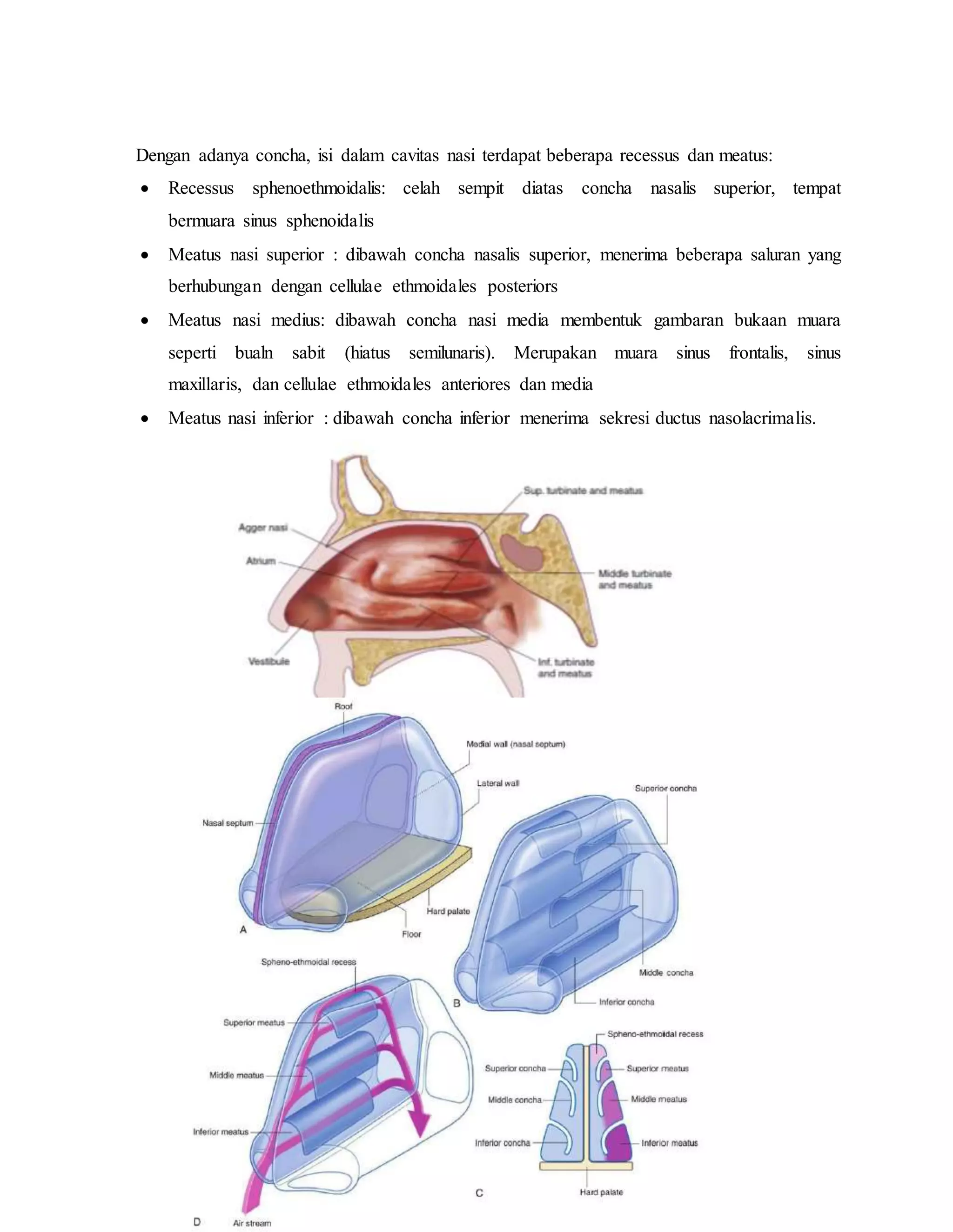 CSS Rhinosinusitis Jamur (Gerasimos Hasiholan) | DOCX