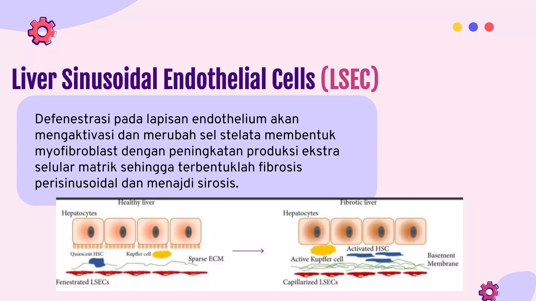 CSS sirosis hepatis.pptx