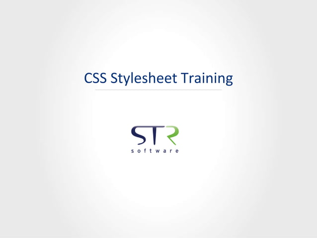 CSS Stylesheet Training | PPTX