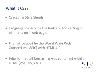 CSS Stylesheet Training | PPTX