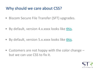 CSS Stylesheet Training | PPTX