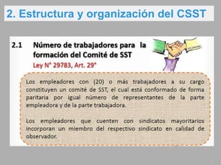 CSST Funciones Responsabilidades.ppt