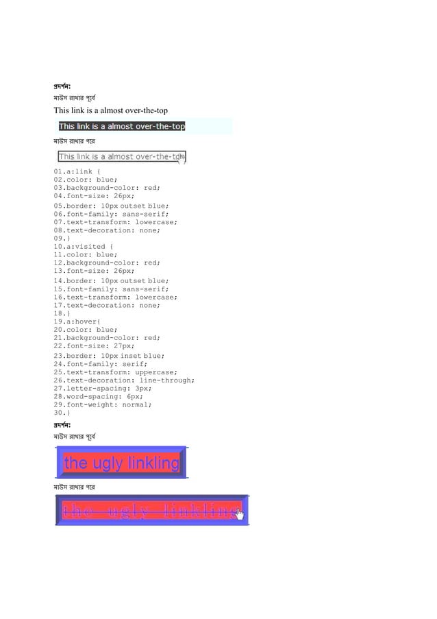 Csstutorialinbangla Pdf