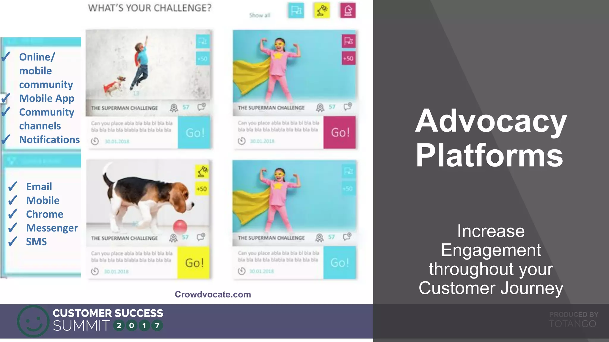 Building your Champion Network | PPT