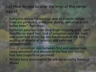 Orthopaedics Clinical Case | PPTX