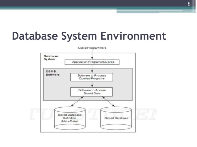 Cst204 Dbmsmodule1 Ppt 1pptx Databases Computer Software And 4257