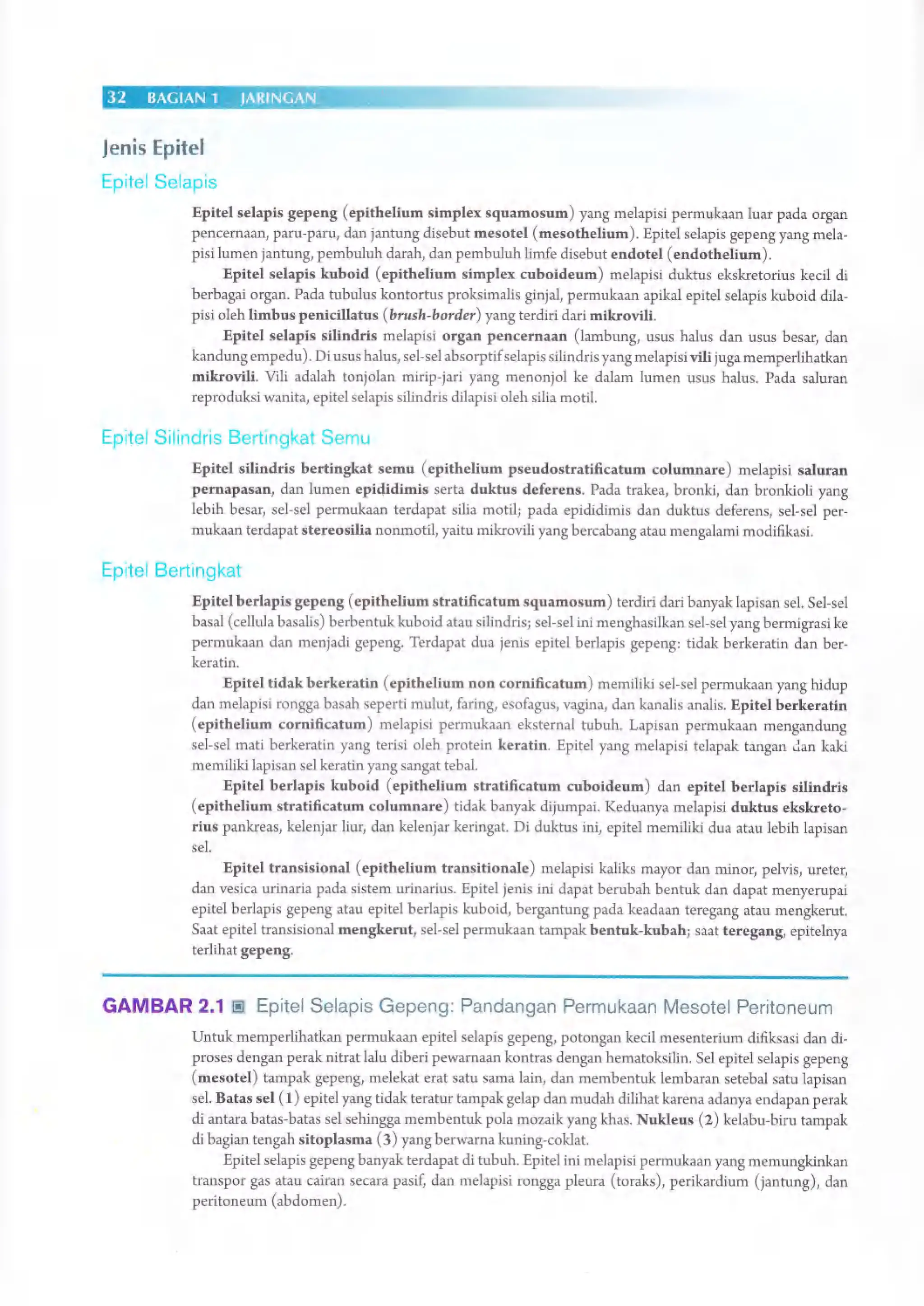 Bab_2_Jaringan_Epitel-Bab_2_Jaringan_Epitel.pdf