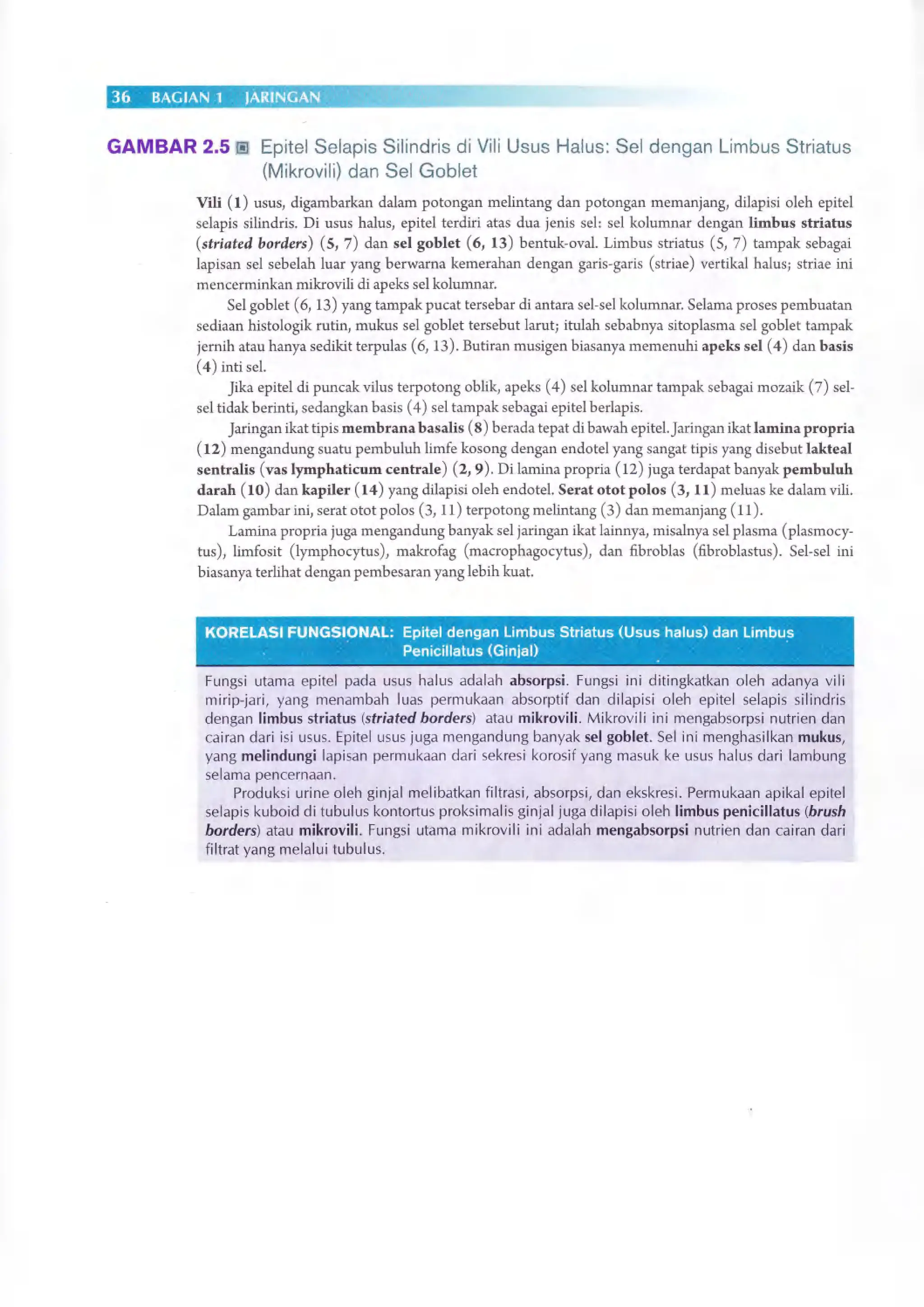 Bab_2_Jaringan_Epitel-Bab_2_Jaringan_Epitel.pdf