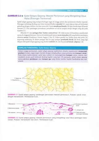 Bab_2_Jaringan_Epitel-Bab_2_Jaringan_Epitel.pdf