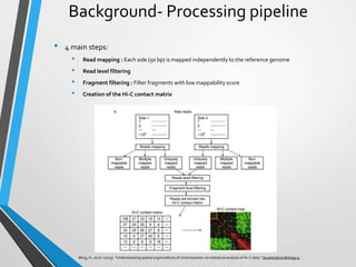 Topological associated domains- Hi-C | PPT