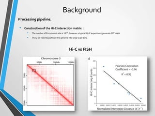 Topological associated domains- Hi-C | PPT
