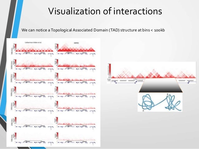 Topological Associated Domains Hi C