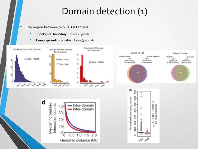 Topological Associated Domains Hi C 