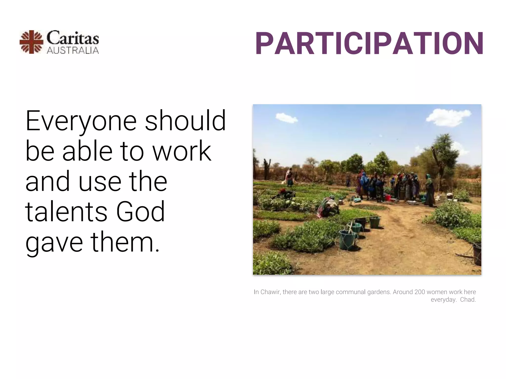 cst_principles_primary-2016.pptx