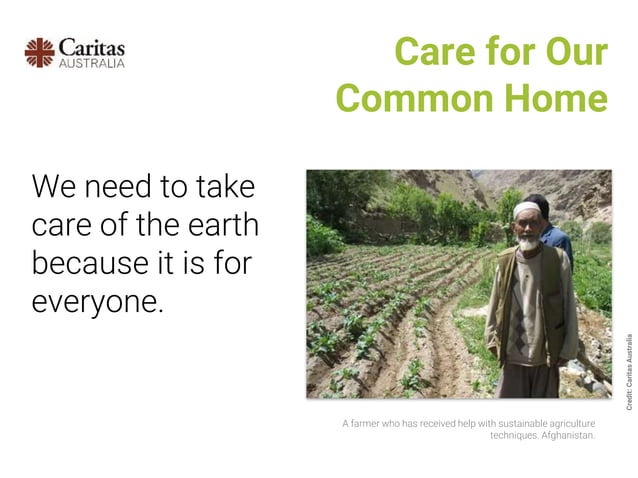 cst_principles_primary-2016.pptx