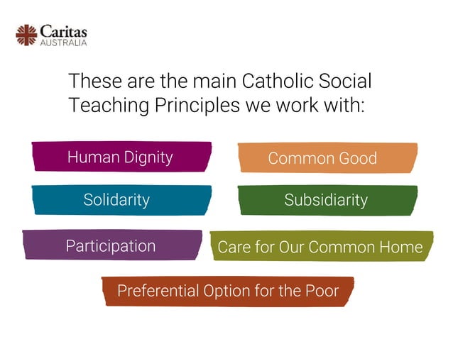 cst_principles_primary-2016.pptx