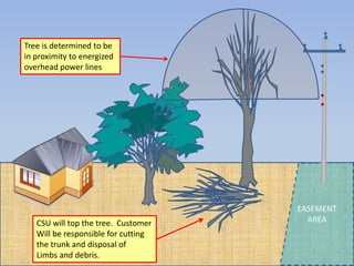 CSU Tree Trimming and Clearing Program | PPTX