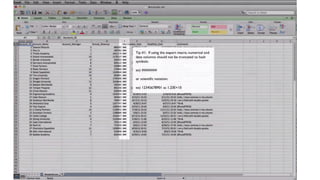 CSV and XLS Best Practices | PPT