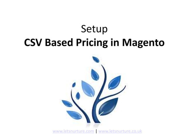 Setup CSV Based Pricing in Magento | PPT