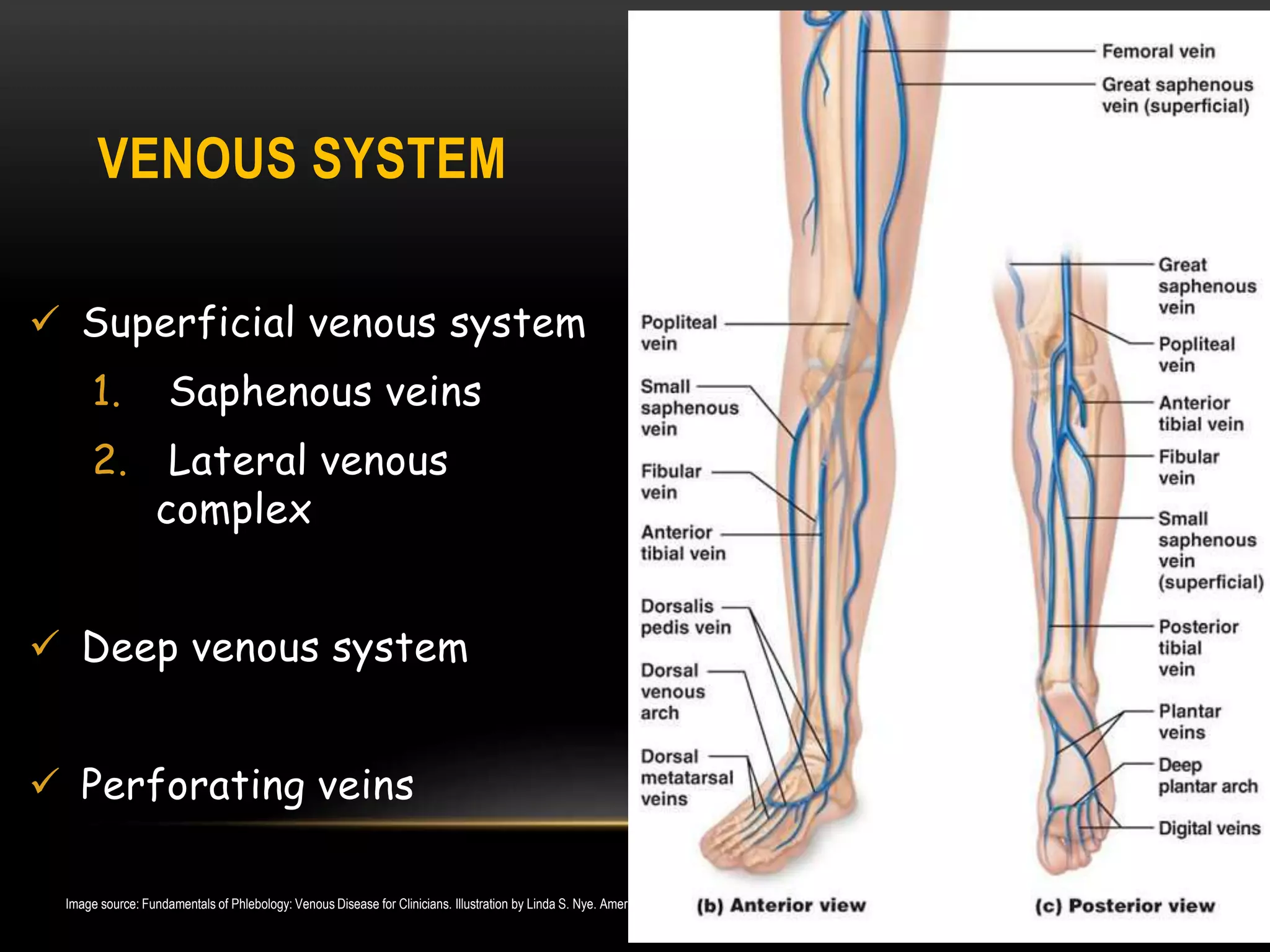 Chronic Superficial Venous insufficiency | PPTX