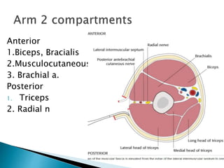 COMPARTMENT SYNDROME | PPT