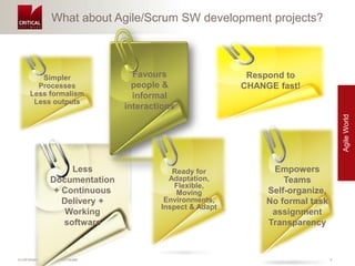 RIPPLE 2014: "Be Agile in a CMMI level 5 World" | PPT
