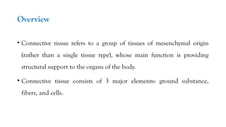 Connective Tissue, Definition, Function and Types.pptx