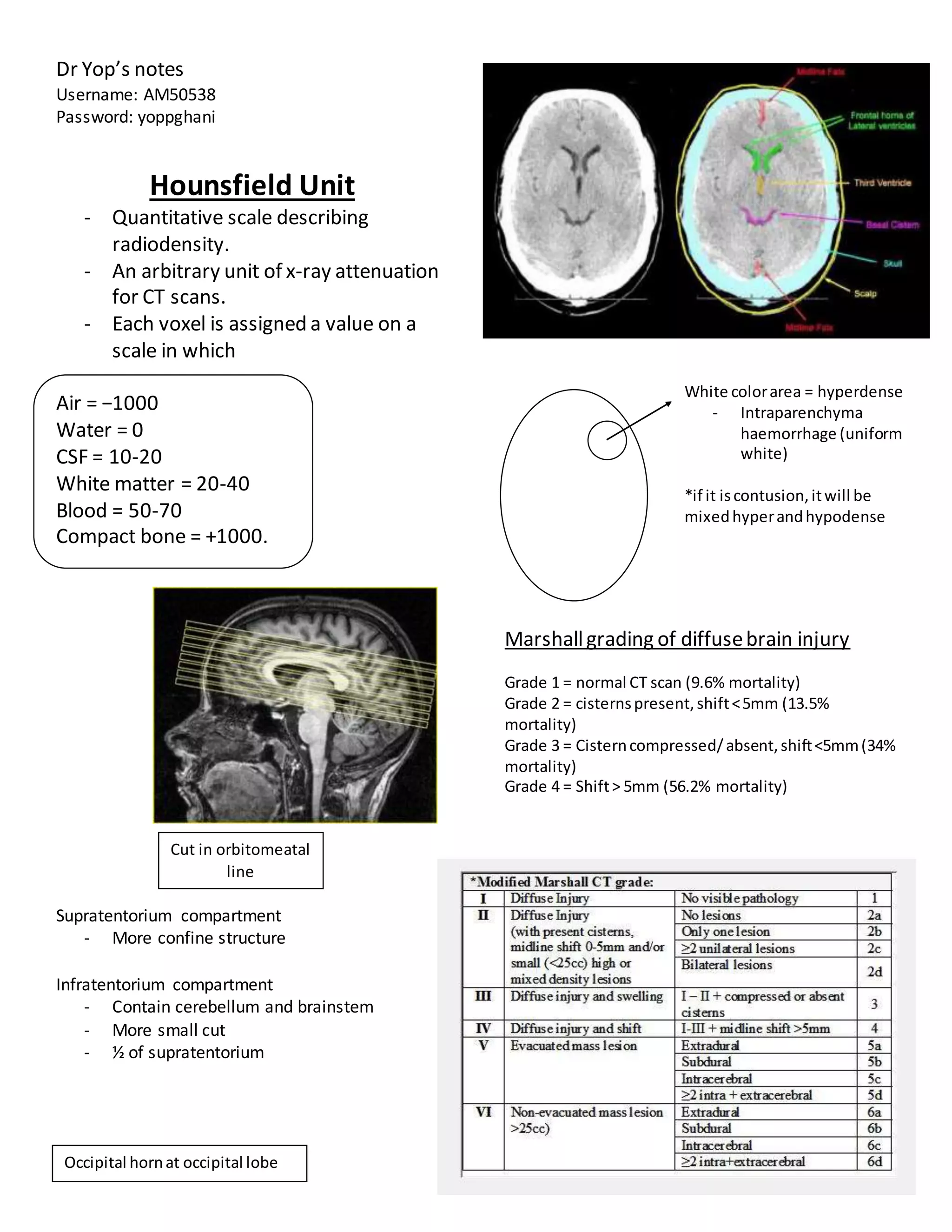 Ct | DOCX | Death, Injury, or Military Conflict | Sensitive Topics