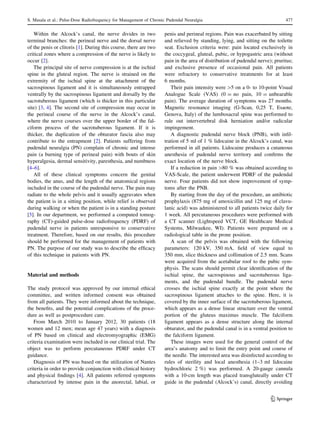 CT-Guided Percutaneous Pulse-Dose Radiofrequency for Pudendal Neuralgia | PDF | Physical Therapy ...