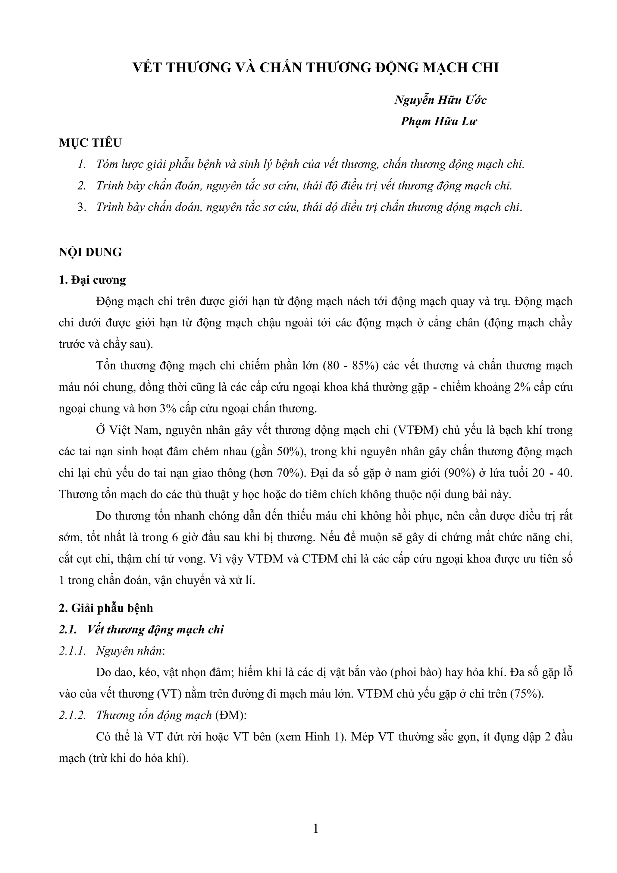 Ct vt đông mach chi | PDF