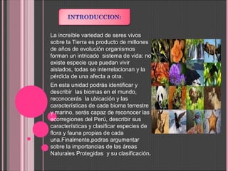 Diversidad de los Ecosistemas | PPT