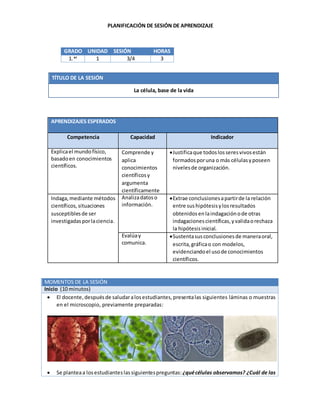 Ideas De Proyectos De Celulas Vegetales 5to Grado