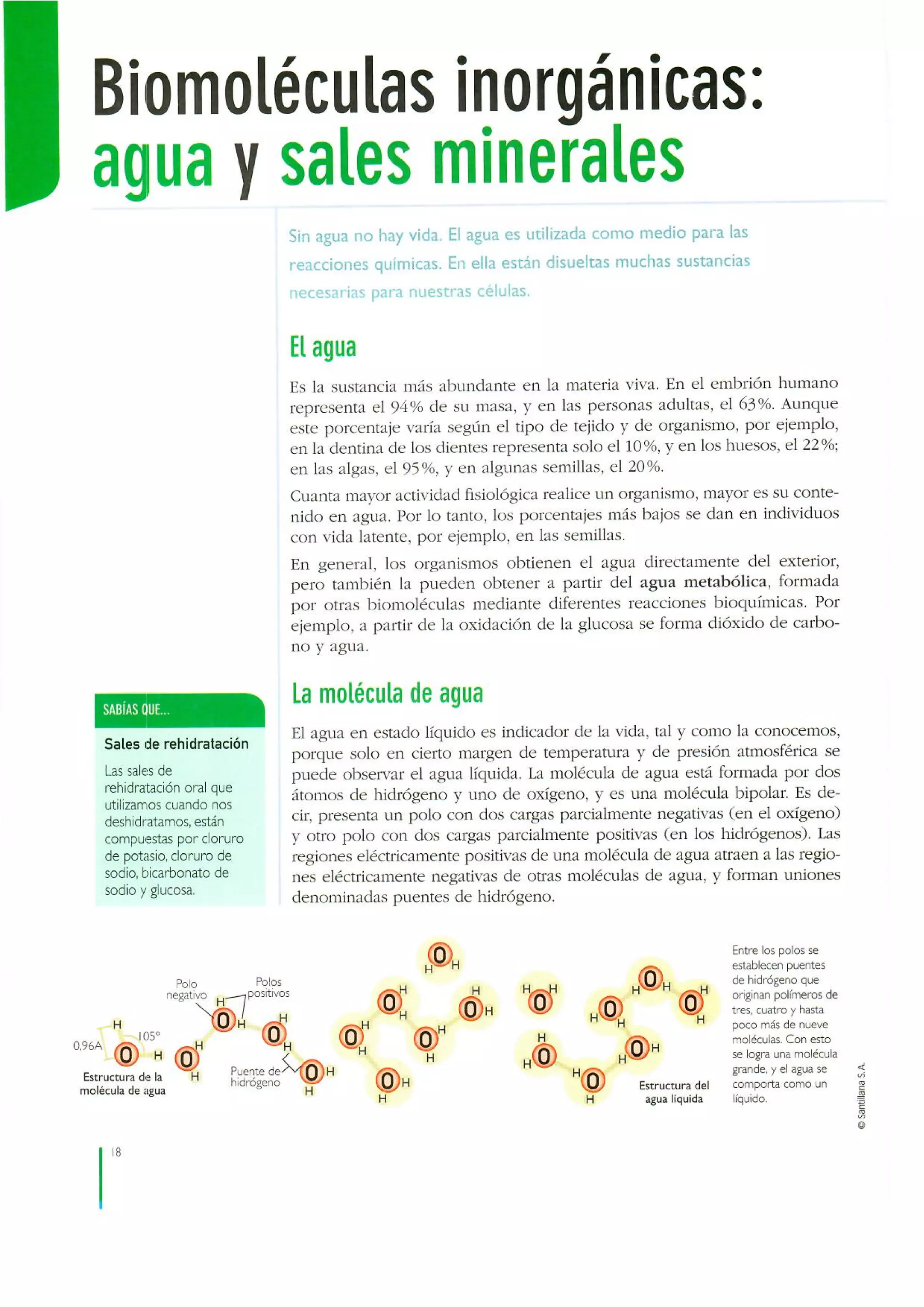 CTA 4.pdf