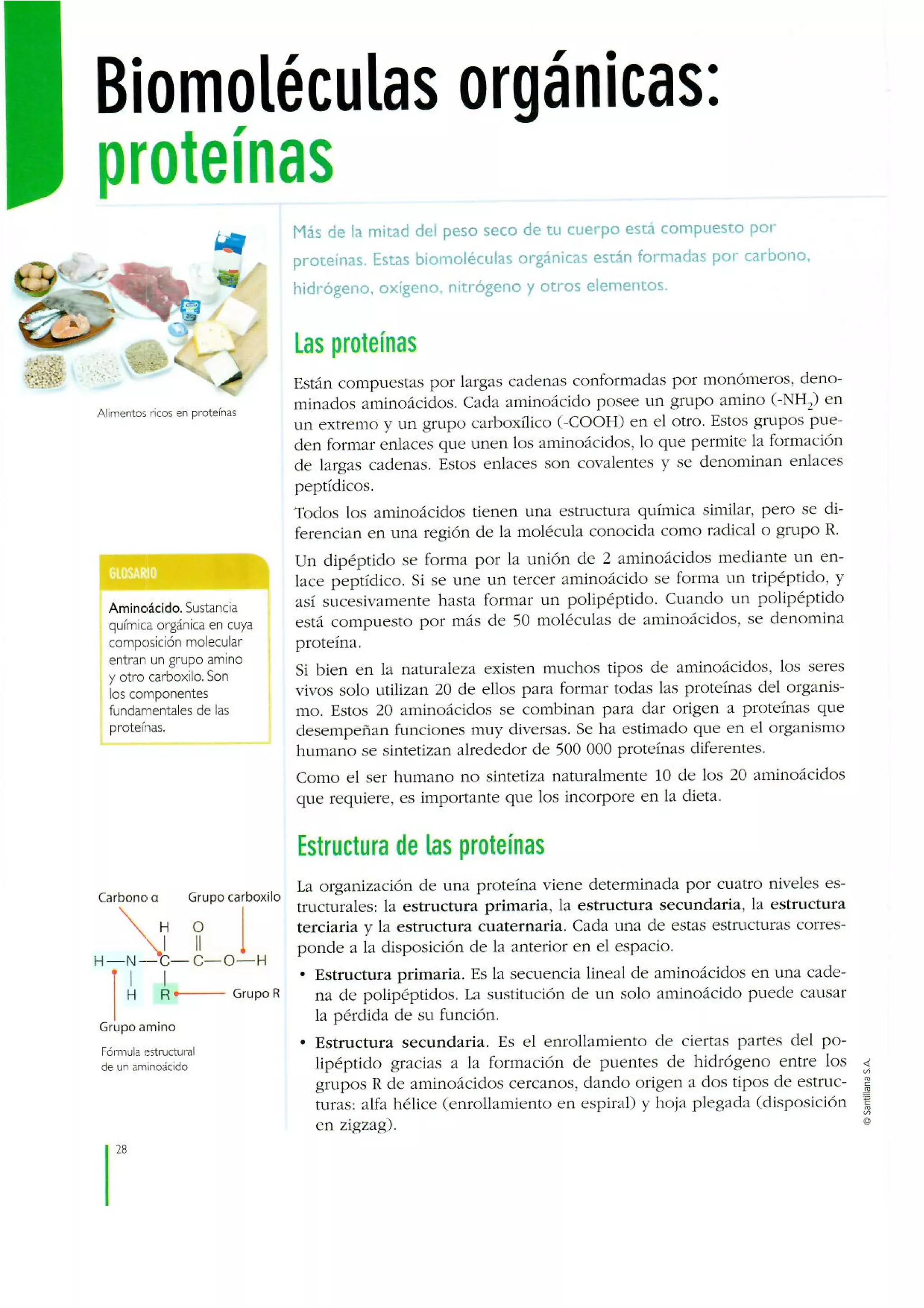 CTA 4.pdf