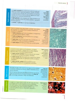 CTA 4.pdf