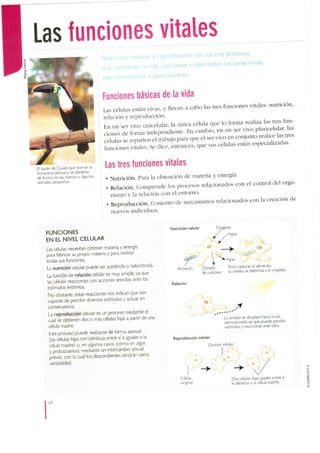 CTA 4.pdf