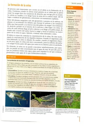 CTA 4.pdf