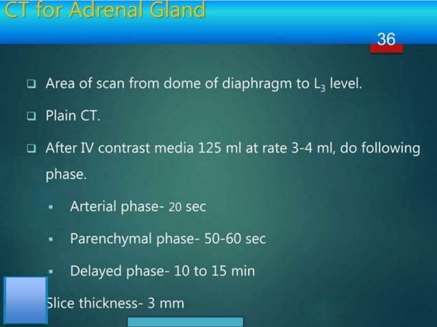 Ct Abdomen And Pelvispptx Ct Abdomen And Pelvispptxct Abdomen And Pelvispptx Free Download