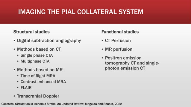 CTA Collateral Scoring system- RADIOLOGY 2 | PPTX | Brain and Nervous System Disorders ...