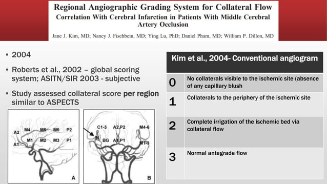 CTA Collateral Scoring system- RADIOLOGY 2 | PPTX | Brain and Nervous ...