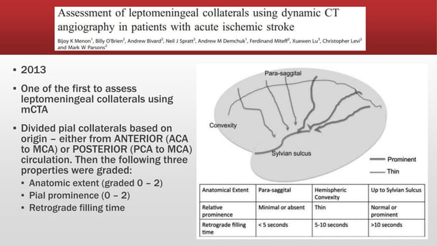 CTA Collateral Scoring system- RADIOLOGY 2 | PPTX | Brain and Nervous ...