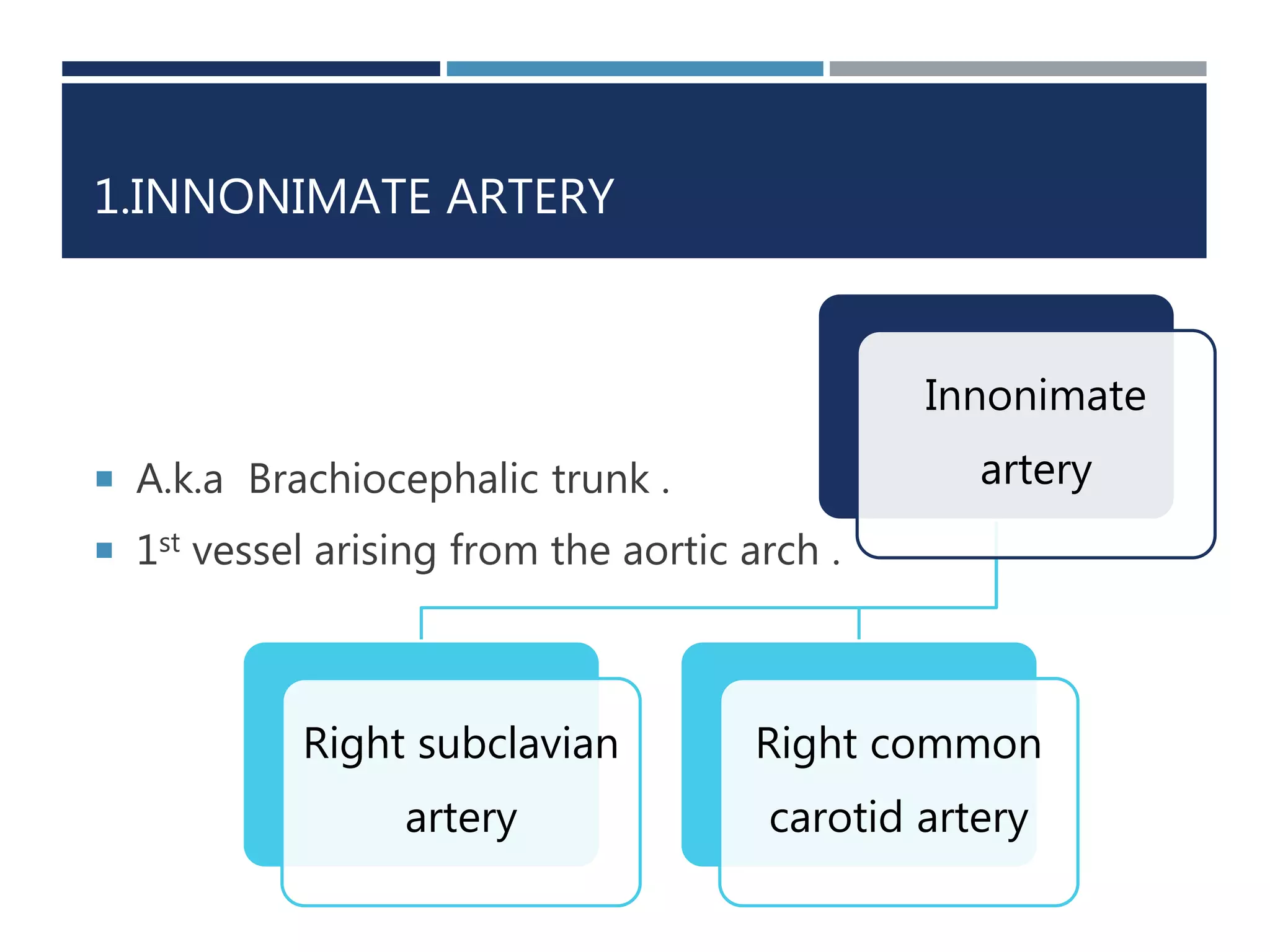 CT Angiography Head and Neck | PPTX