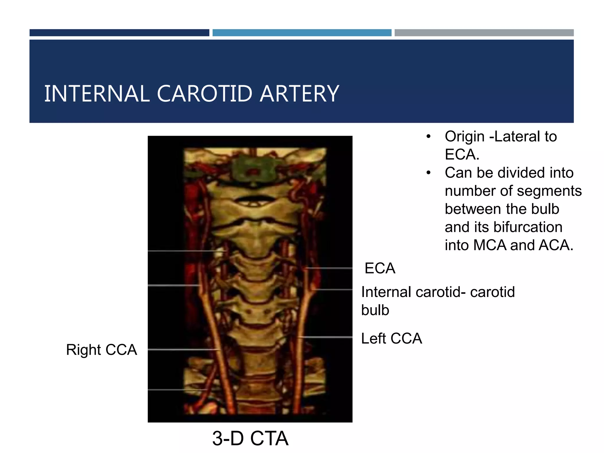 CT Angiography Head and Neck | PPTX