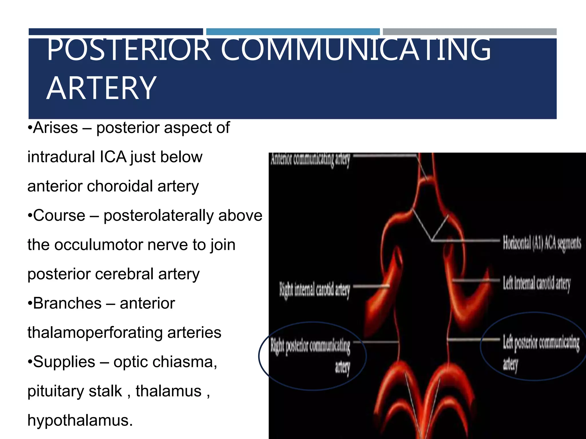 CT Angiography Head and Neck | PPTX
