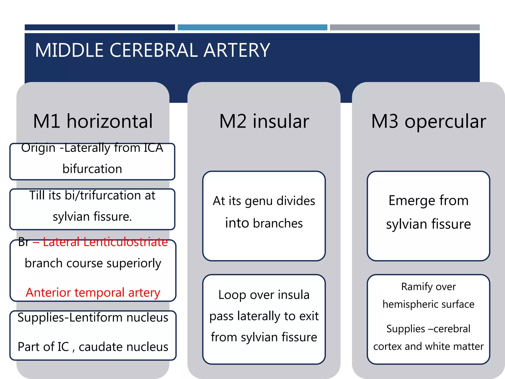 CT Angiography Head and Neck | PPTX