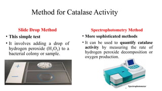 Ctalase Activity.pptx in fish ..avinashh | PPTX