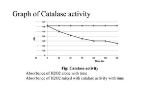 Ctalase Activity.pptx in fish ..avinashh | PPT